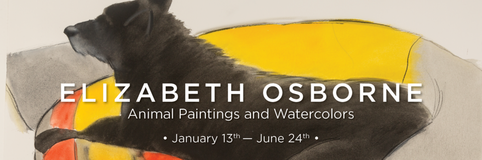 Elizabeth Osborne: Animal Paintings and Watercolors - Woodmere Art Museum